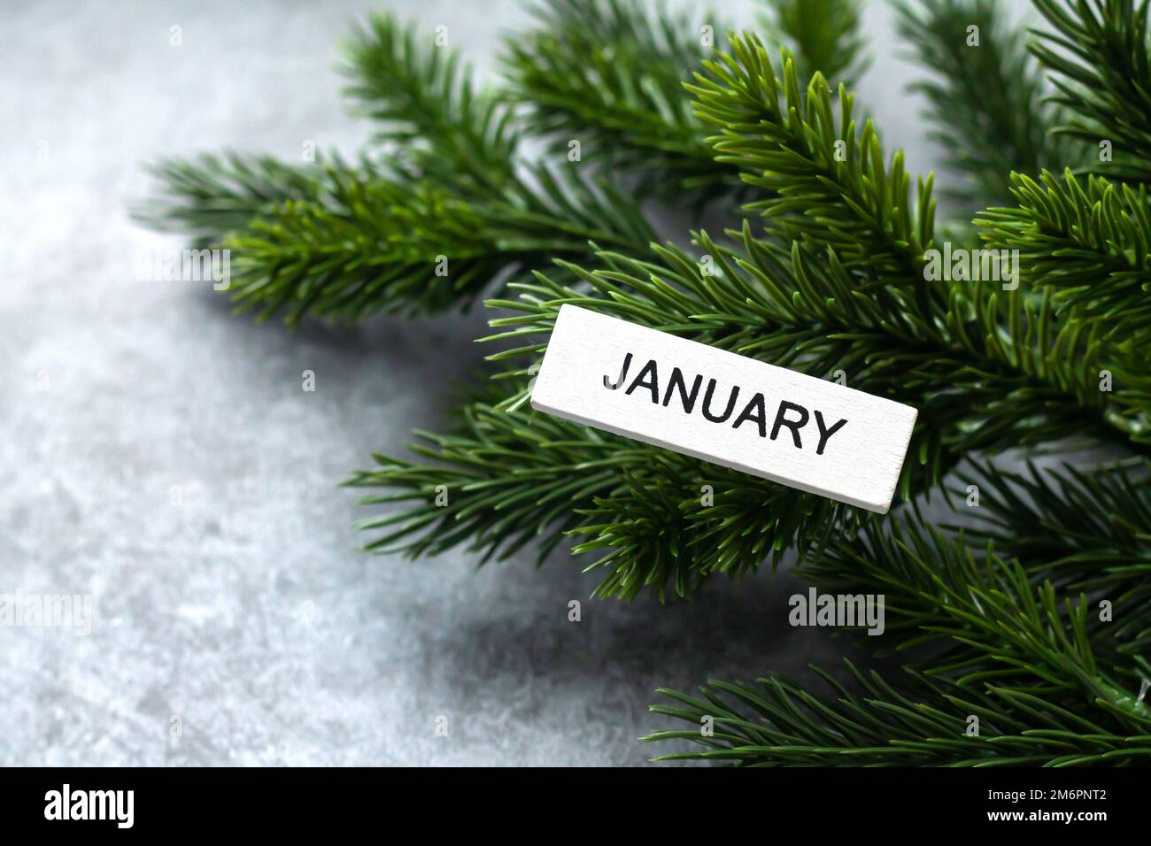 Hello January and winter mood background with spruce branches Stock ...
