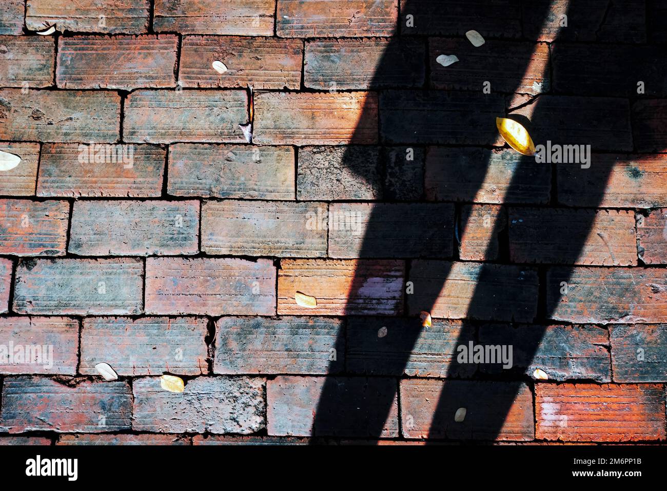 Silhouette of two legs of a man on old multicolor bricks paving stones ...