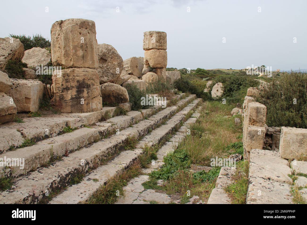 ruined ancient acropolis in selinunte in sicily (italy Stock Photo - Alamy
