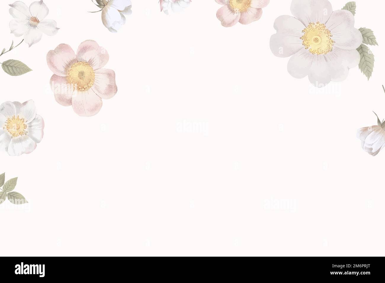 Elegant floral frame design vector Stock Vector Image & Art - Alamy