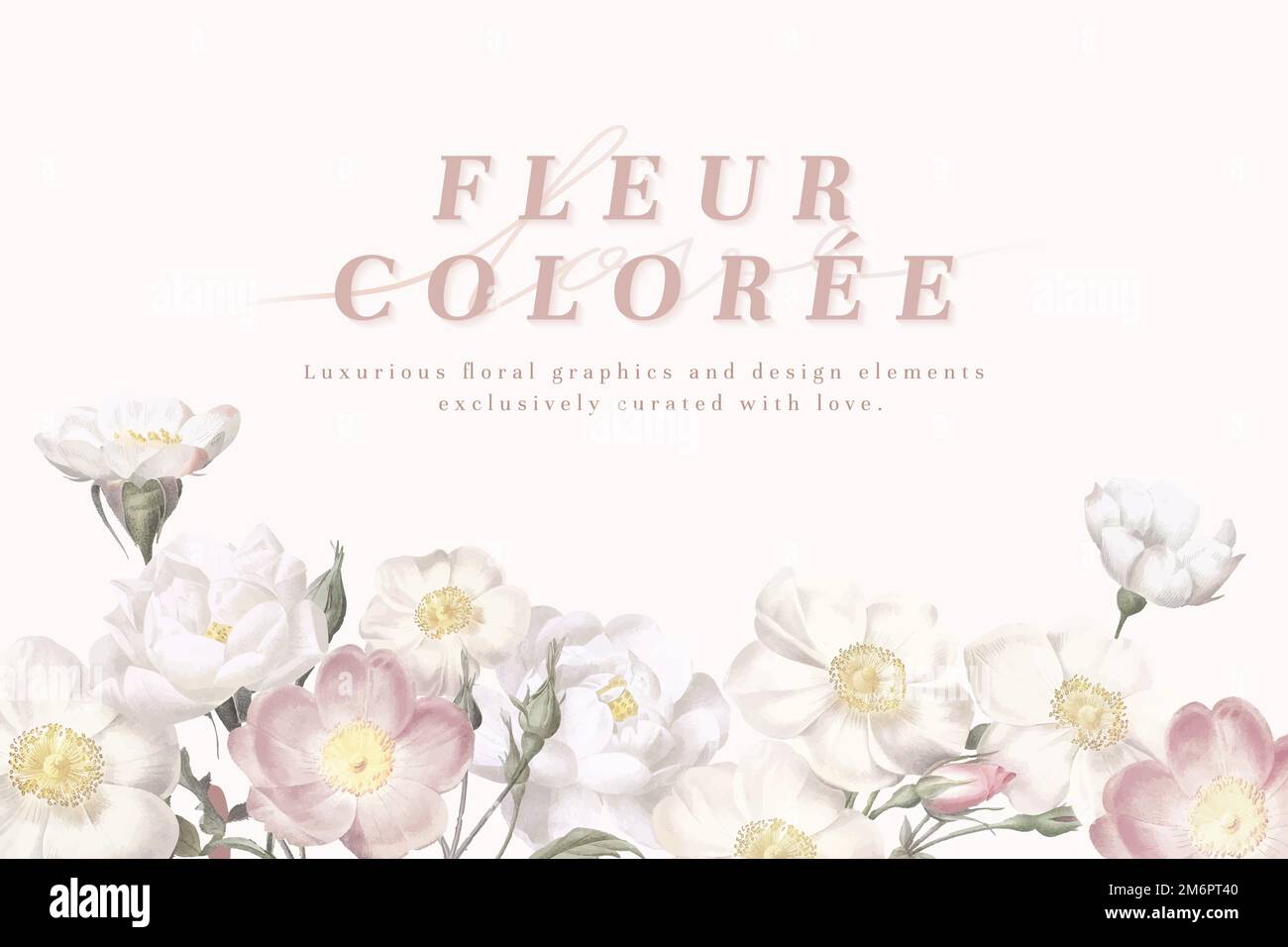 Elegant floral frame design vector Stock Vector Image & Art - Alamy