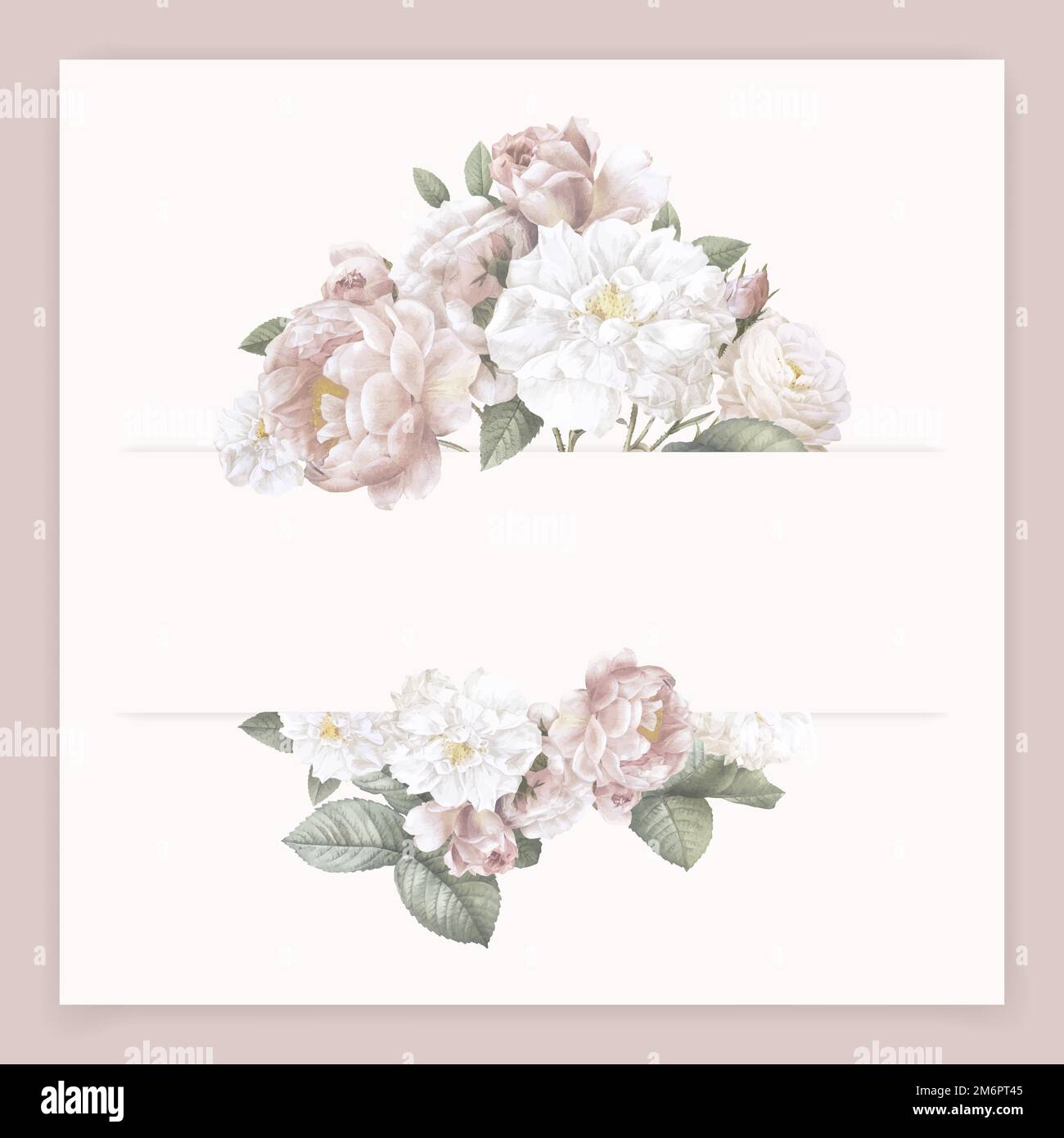 Elegant floral frame design vector Stock Vector Image & Art - Alamy
