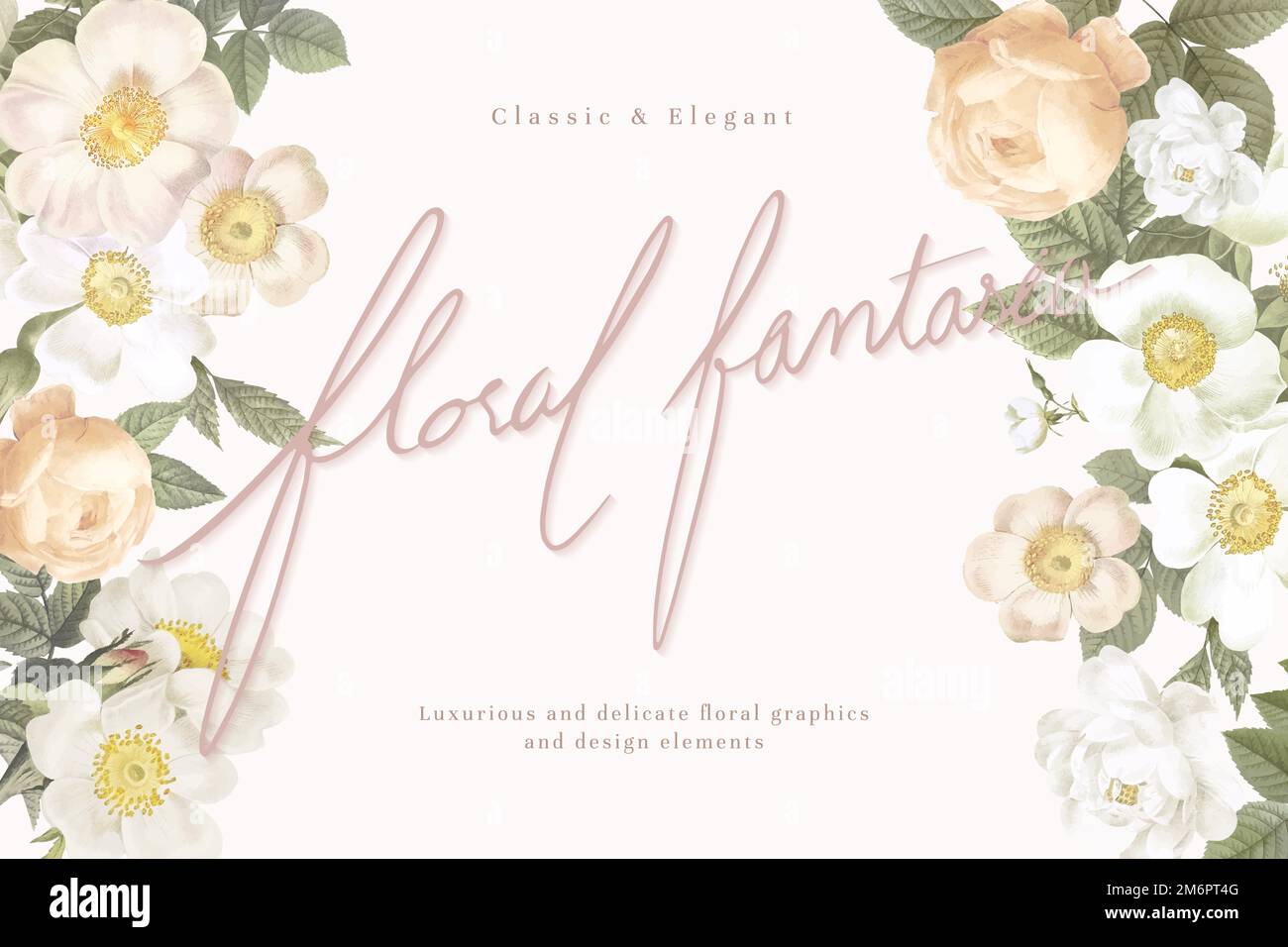 Elegant floral frame design vector Stock Vector Image & Art - Alamy