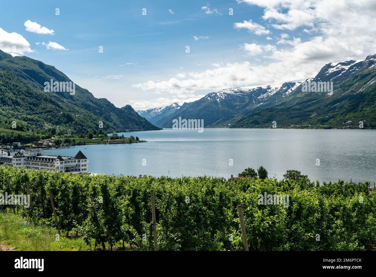 View over orchards to the Hardangerfjord near Lofthus, Norway Stock ...