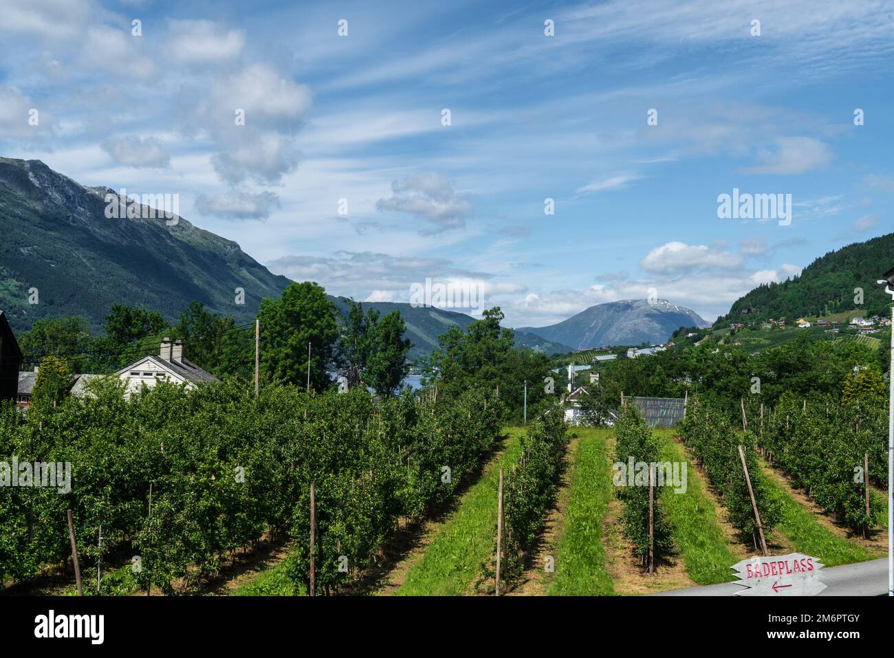 Old wooden houses in orchards in Lofthus, Norway Stock Photo - Alamy