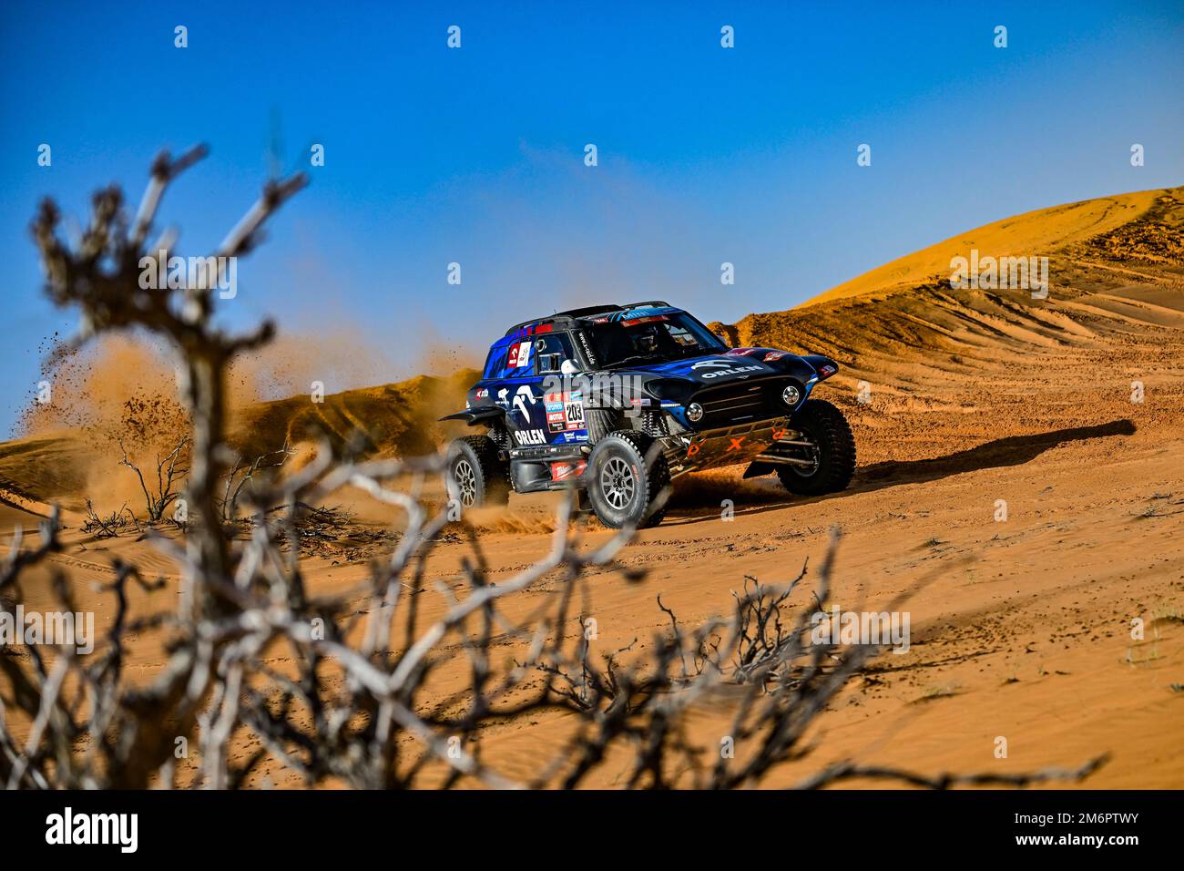 203 PRZYGONSKI Jakub (pol), MONLEON Armand (spa), X-Raid Mini JCW Team ...