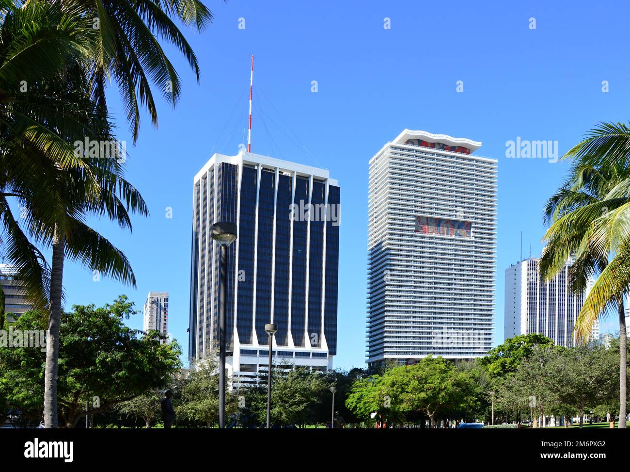 Modern Buildings in Downtown Miami, Florida Stock Photo - Alamy