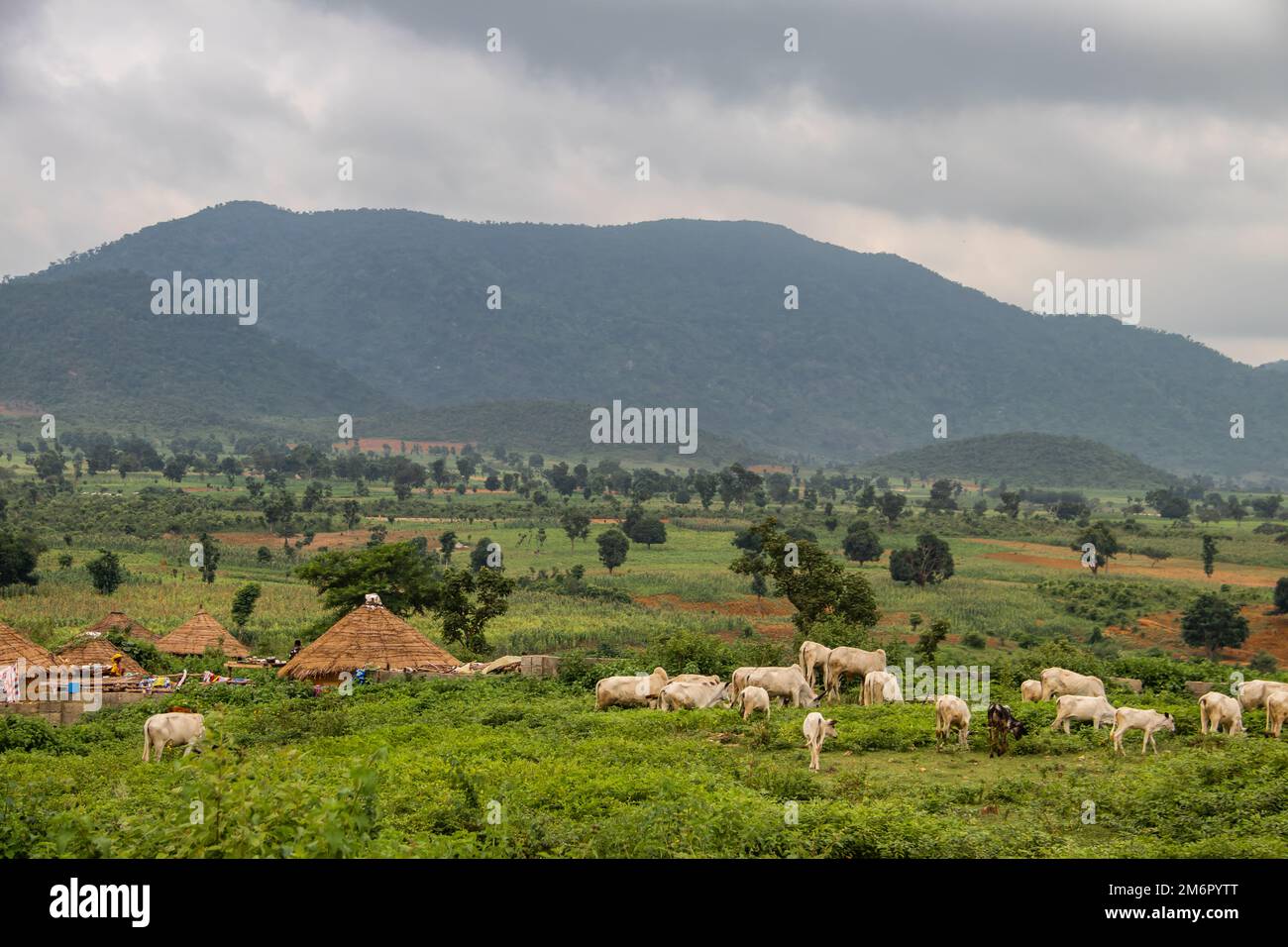 Typical african village hi-res stock photography and images - Alamy