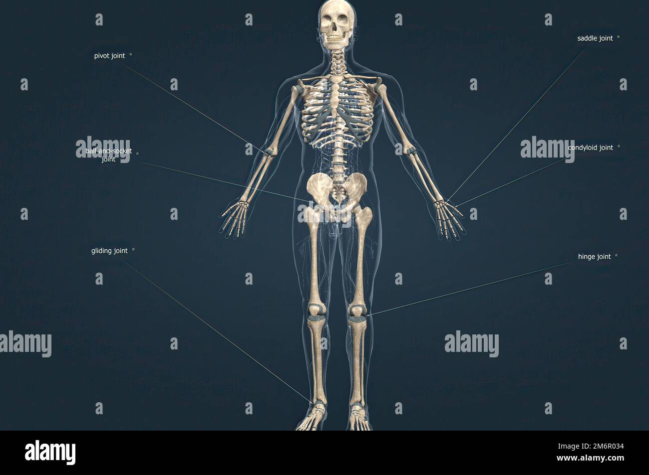 False joints hi-res stock photography and images - Alamy