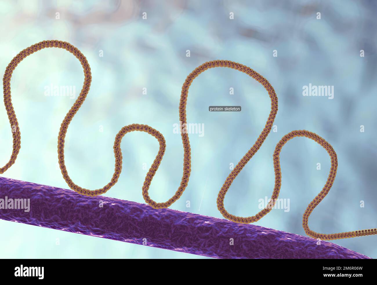 Histone molecules hi-res stock photography and images - Alamy
