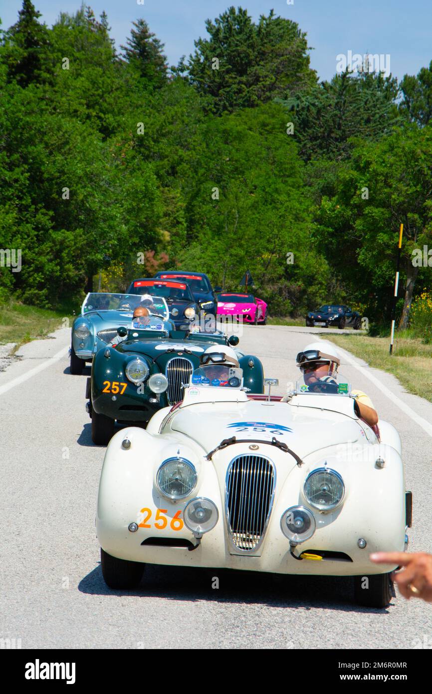 JAGUAR XK120 OTS ROADSTER 1953 on an old racing car in rally Mille ...