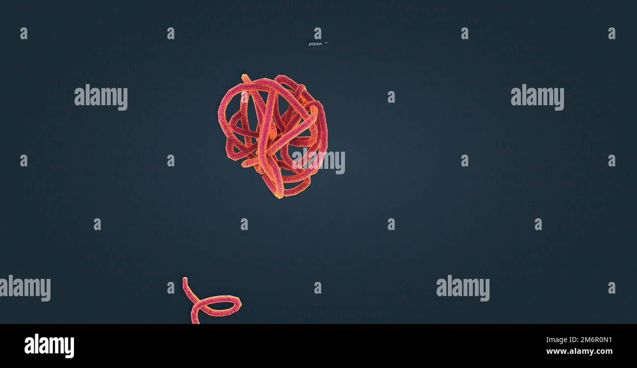 Saliva glands human hi-res stock photography and images - Alamy