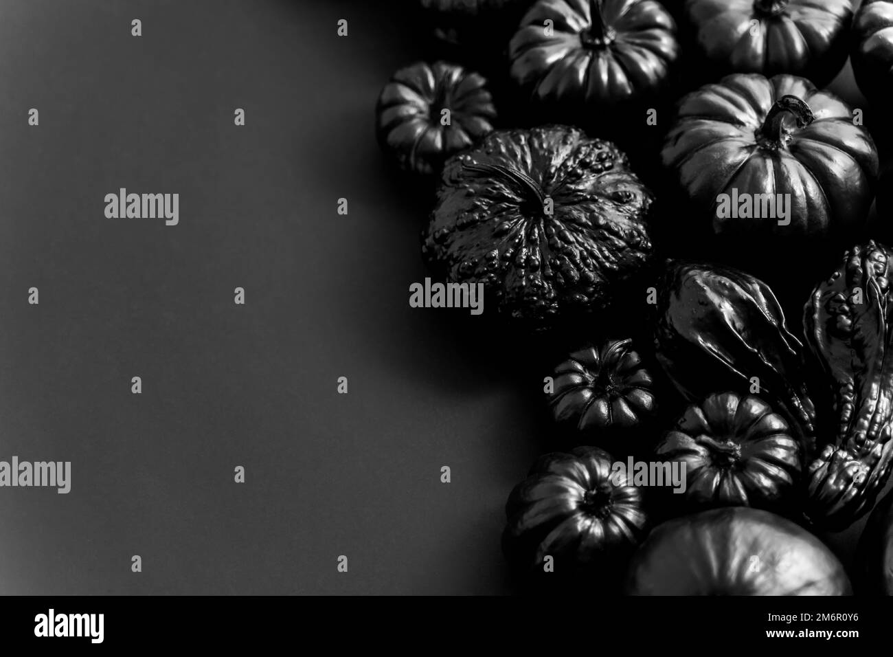 Various kinds cute mini pumpkins in black colour placed black ...