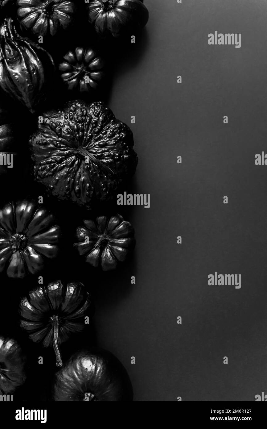 Various kinds cute mini pumpkins in black colour placed black ...