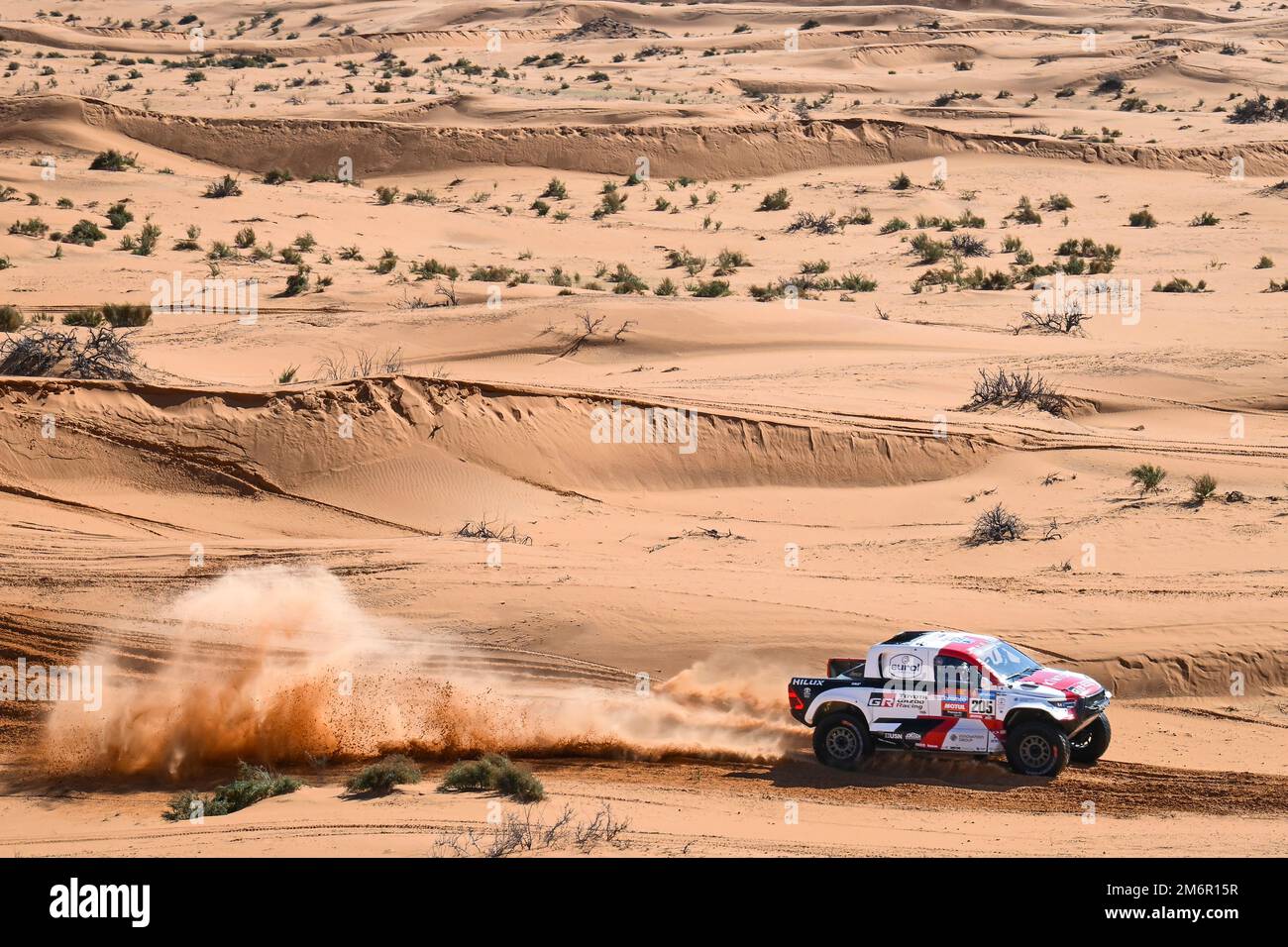 205 DE VILLIERS Giniel (zaf), MURPHY Dennis (zaf), Toyota Gazoo Racing ...