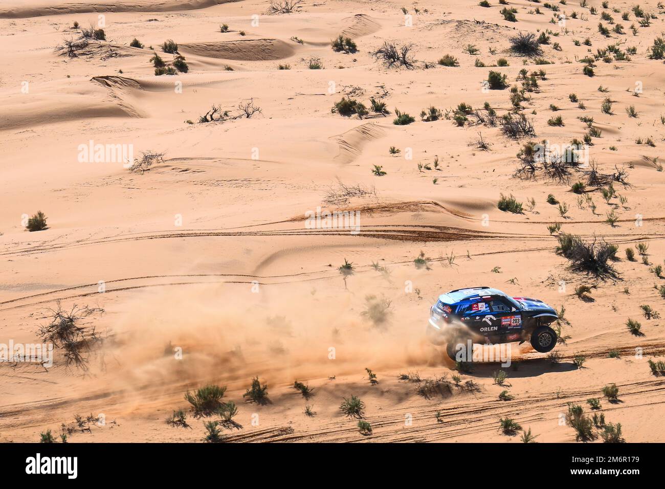 203 PRZYGONSKI Jakub (pol), MONLEON Armand (spa), X-Raid Mini JCW Team ...