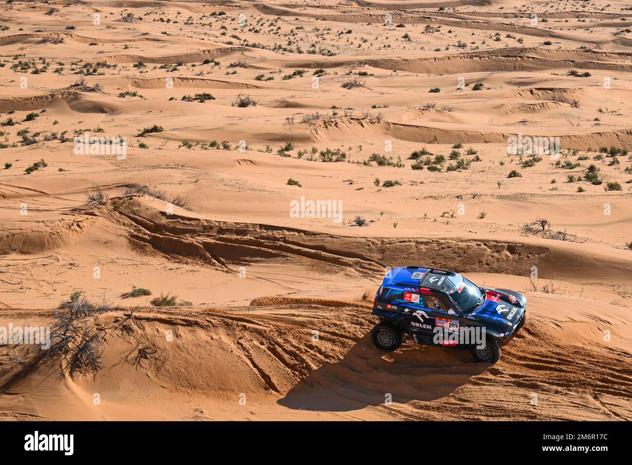 203 PRZYGONSKI Jakub (pol), MONLEON Armand (spa), X-Raid Mini JCW Team ...