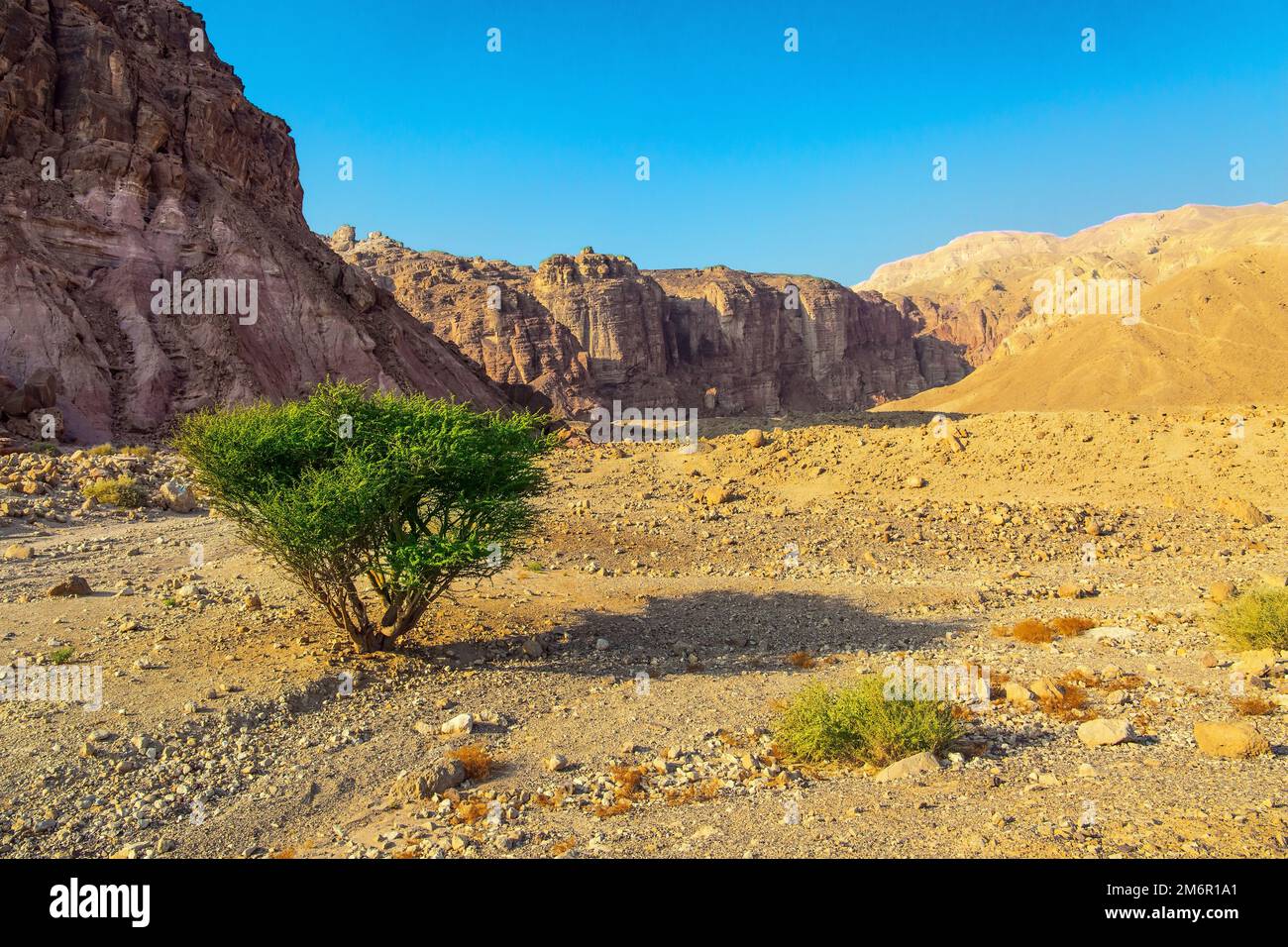 Weathered forms hi-res stock photography and images - Alamy