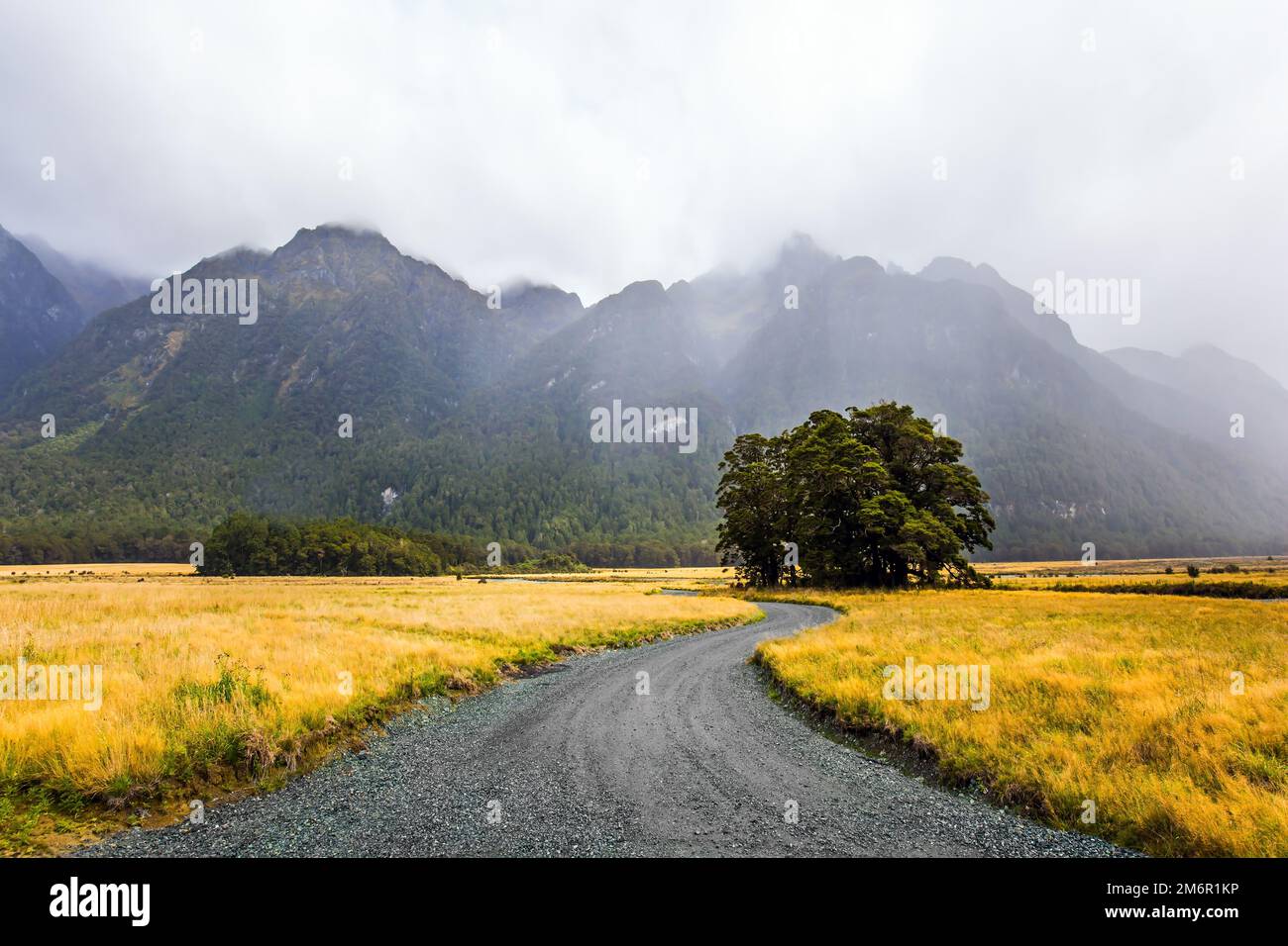 Dirt road to Milford Sound Stock Photo - Alamy