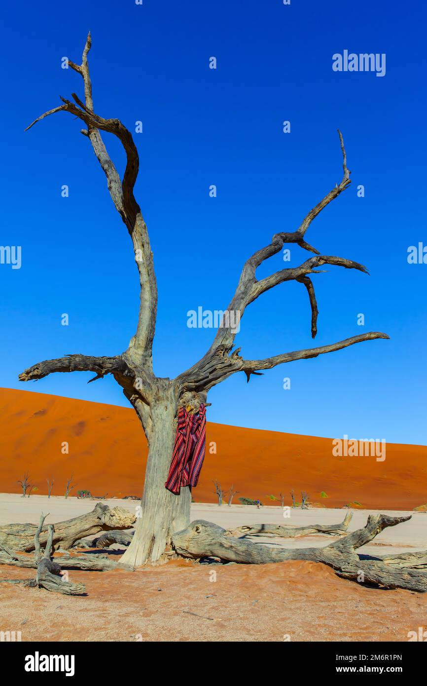 Central african plateau hi-res stock photography and images - Alamy