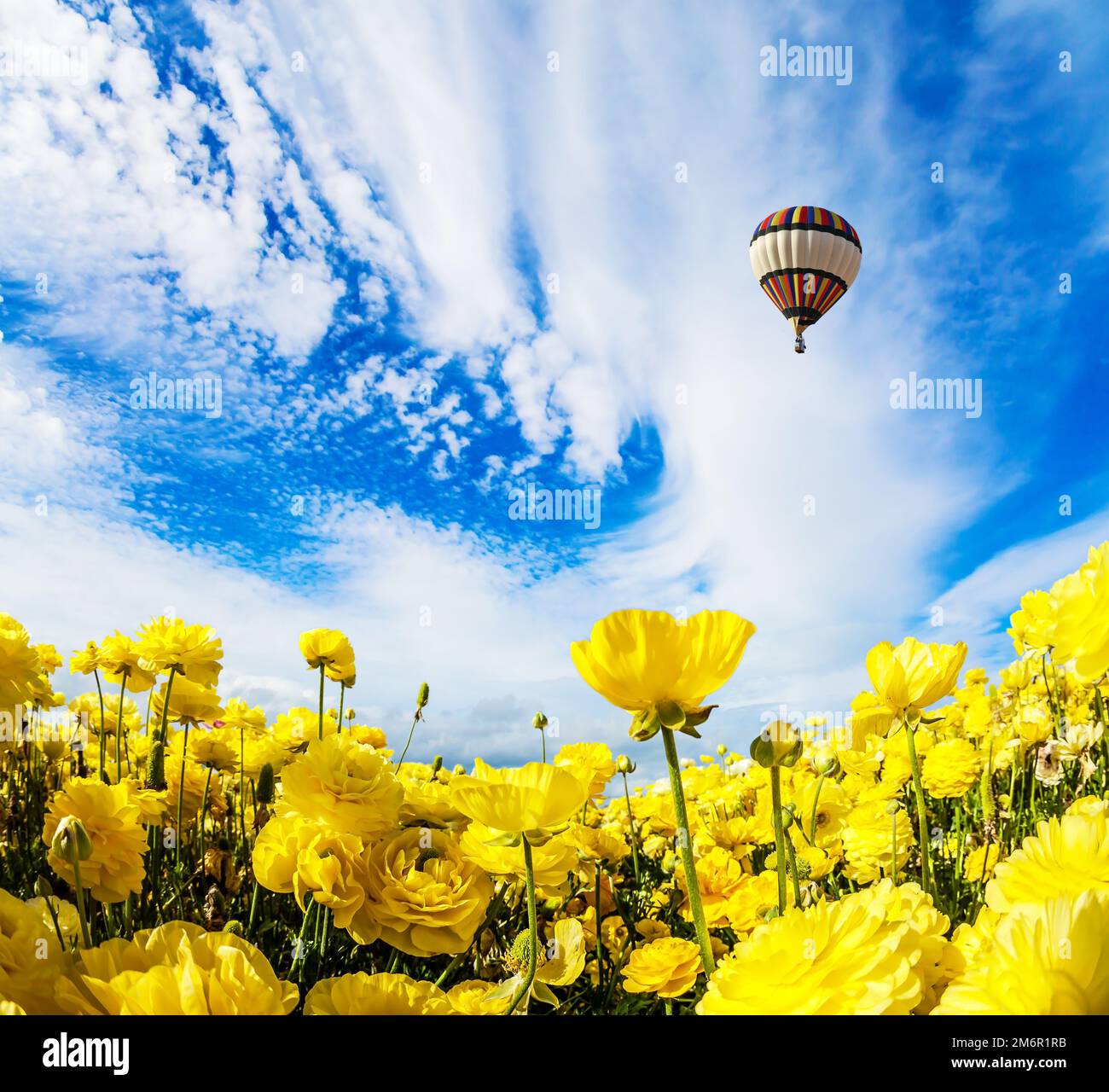 Huge hot air balloon flies Stock Photo - Alamy