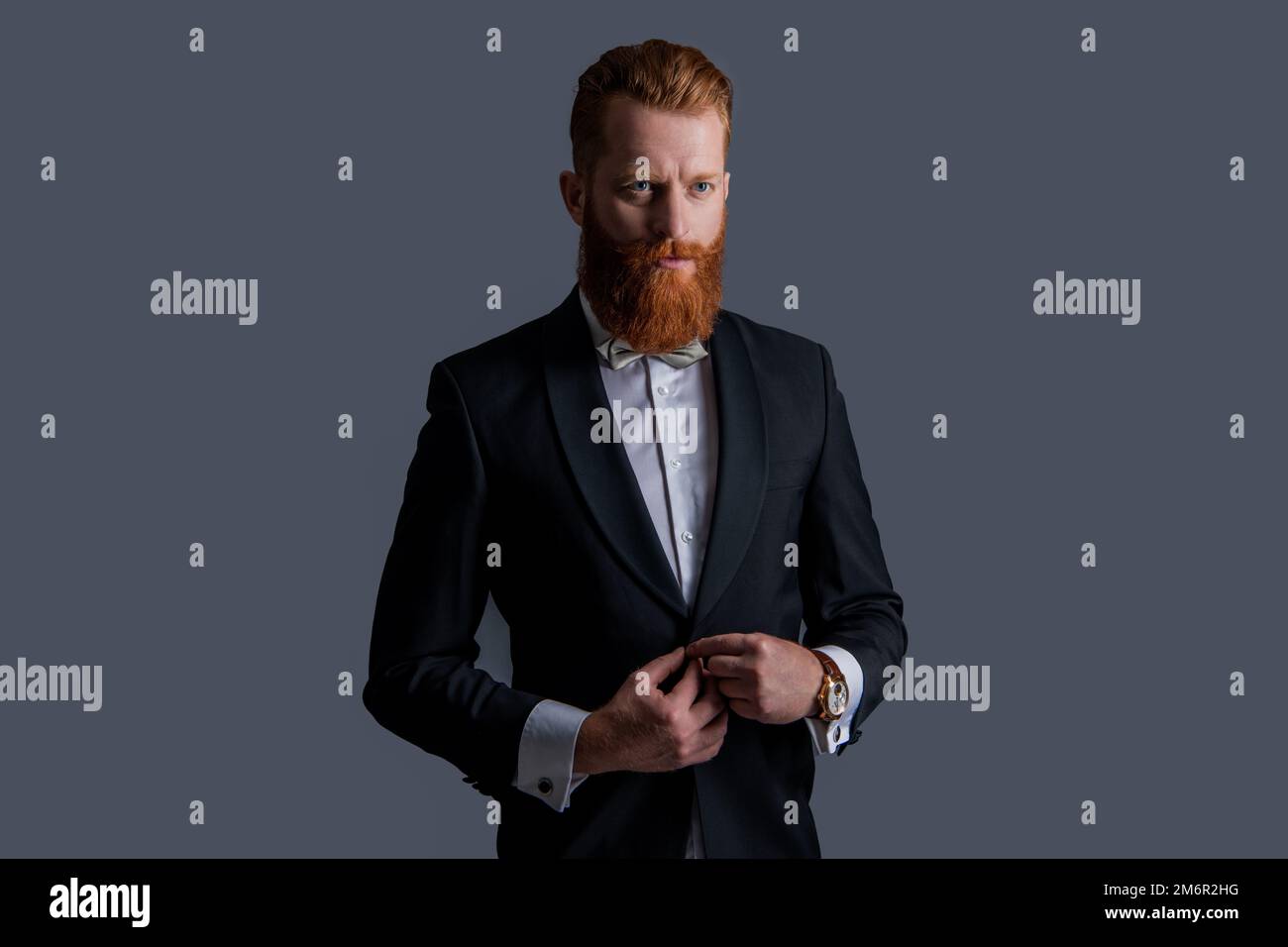 charismatic man studio shot in tux. man wearing elegant tux. tux ...