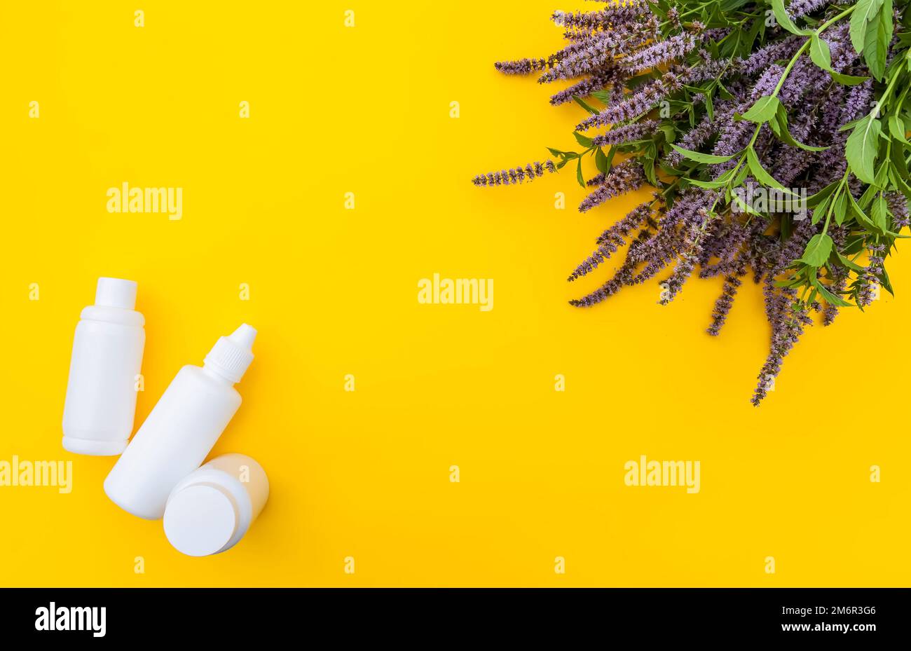 White plastic containers and fresh mint flowers for cosmetic products ...