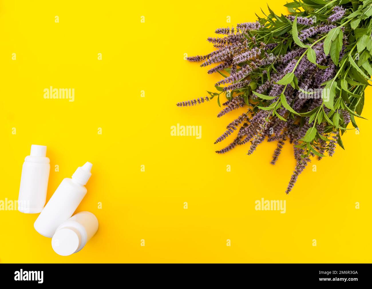 White plastic containers and fresh mint flowers for cosmetic products ...