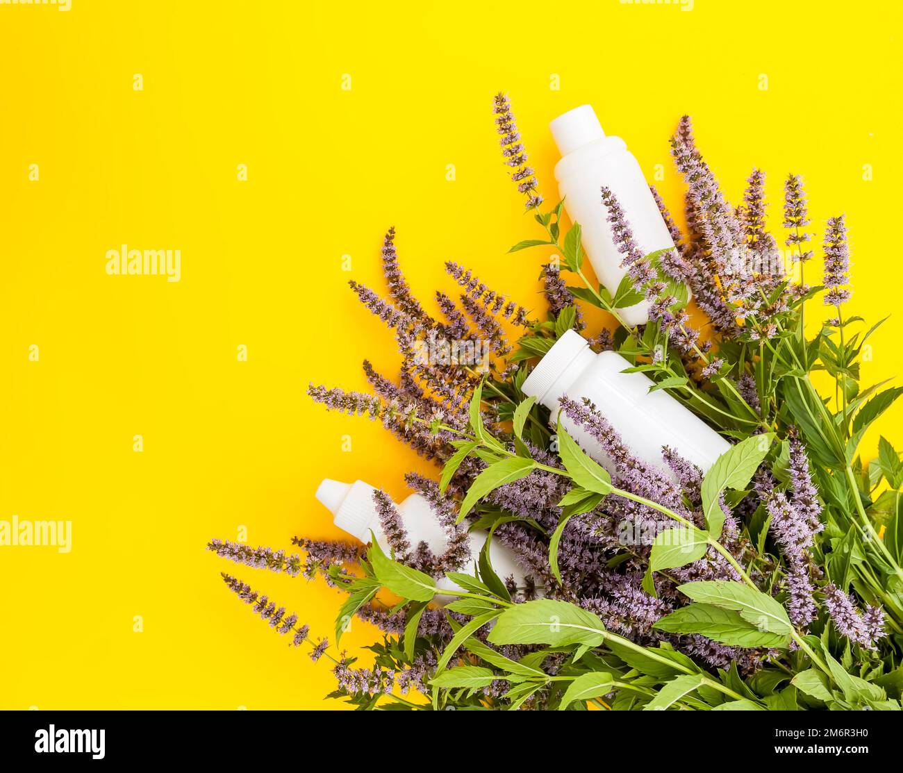 White plastic containers and fresh mint flowers for cosmetic products ...