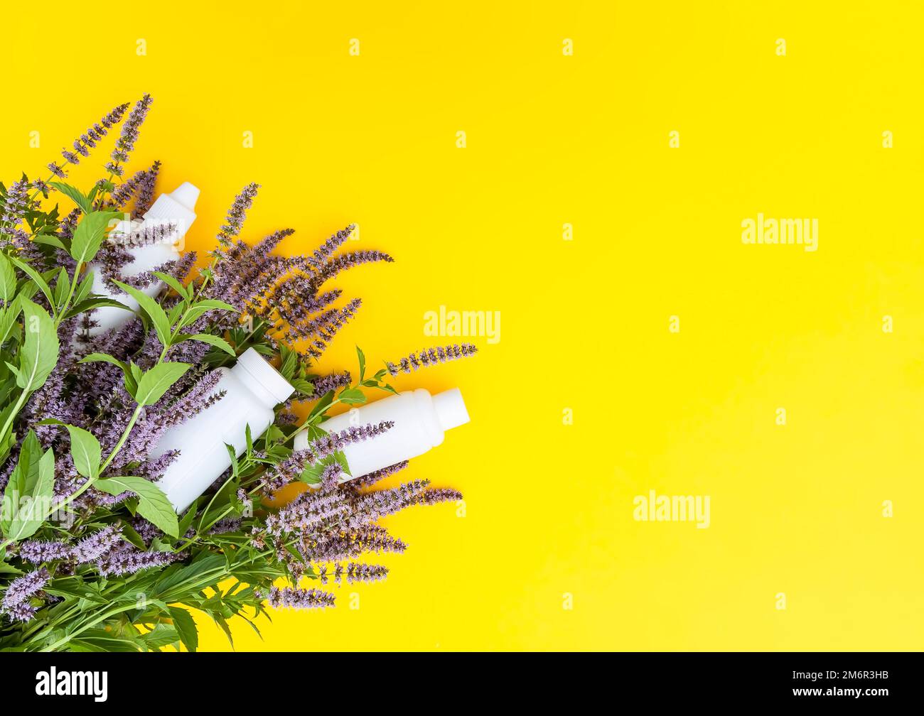 White plastic containers and fresh mint flowers for cosmetic products ...