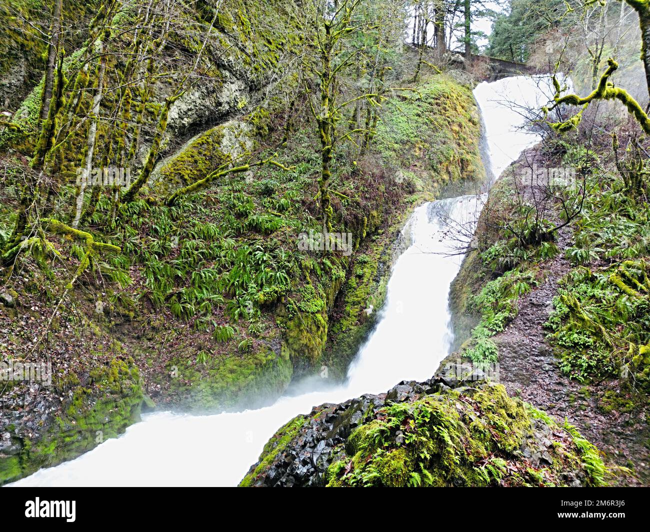 A beautiful shot of the flowing Columbia River Gorge in Oregon Stock ...