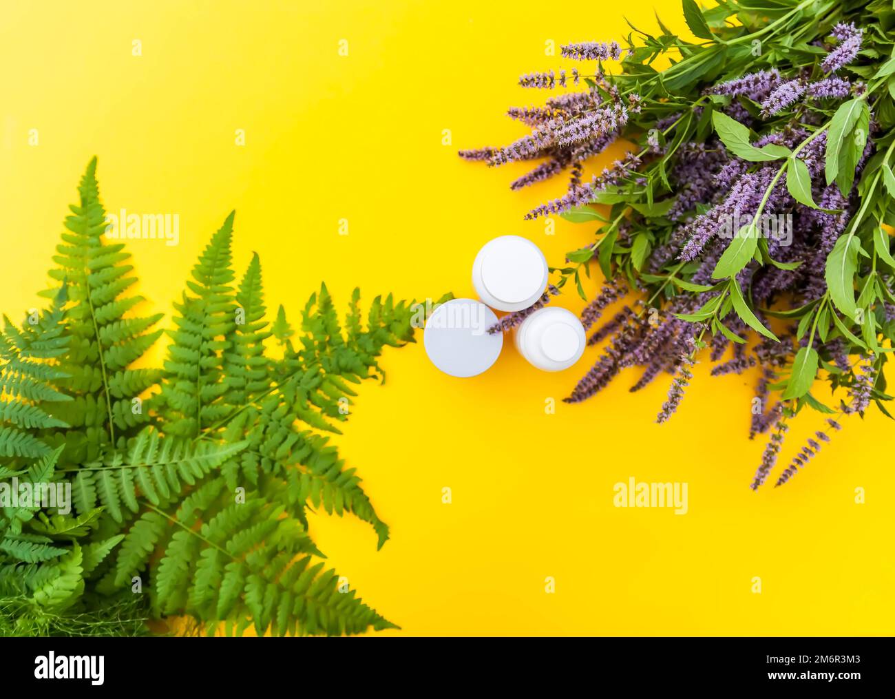 White plastic containers, green fern and fresh mint flowers for ...