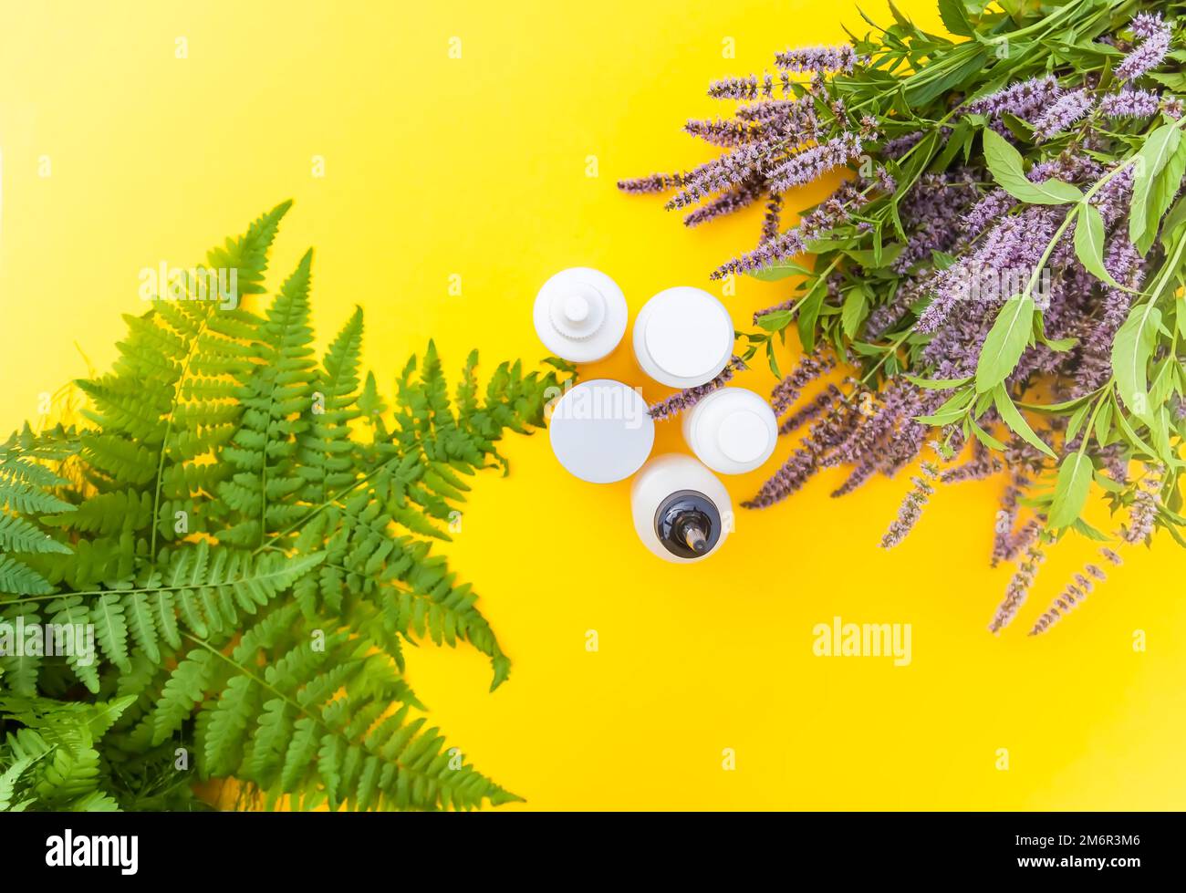 White plastic containers, green fern and fresh mint flowers for ...