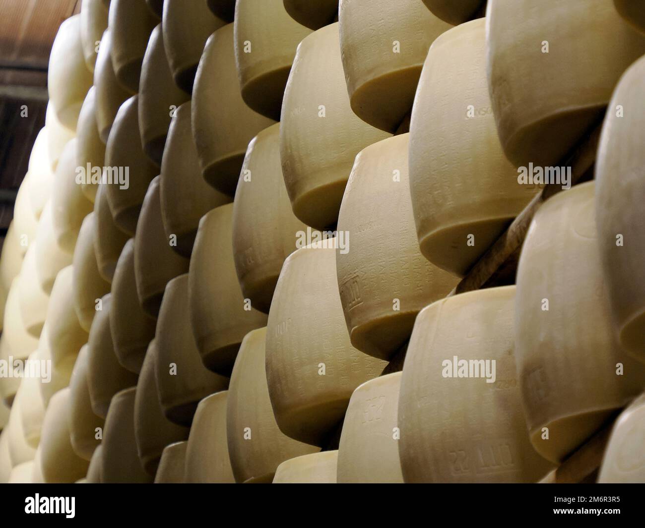dop Typical italian cheese Parmigiano Reggiano (parmesan Stock Photo ...