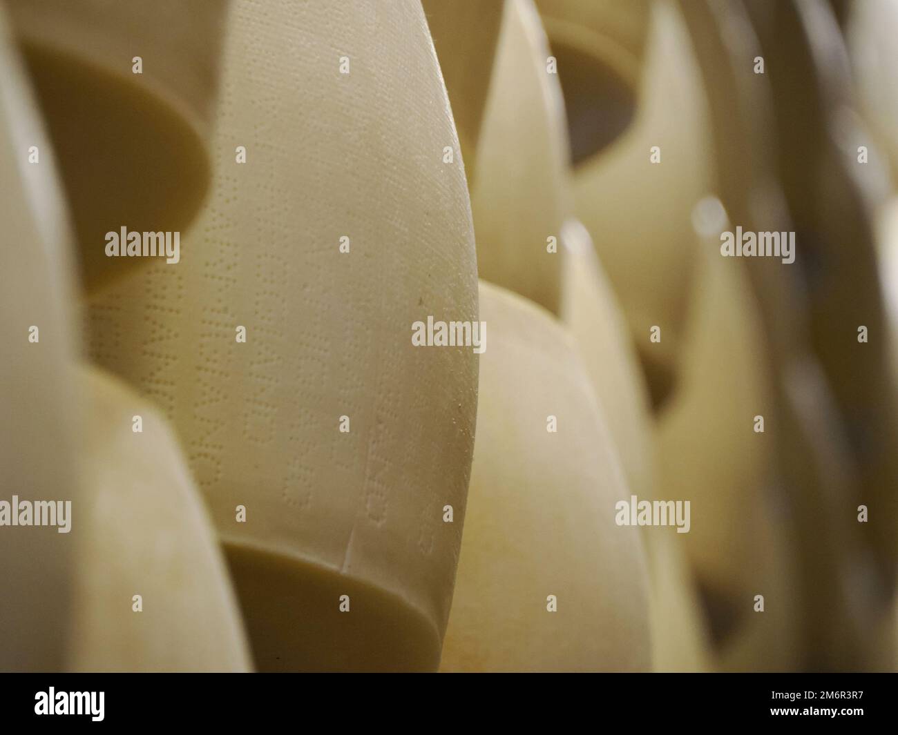dop Typical italian cheese Parmigiano Reggiano (parmesan Stock Photo ...