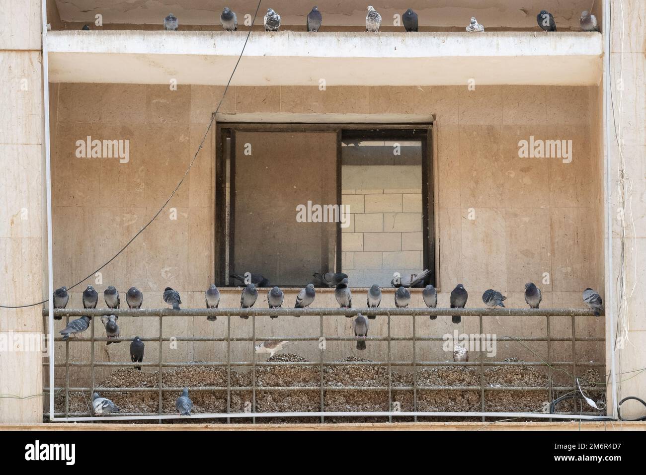 Balcony roost hi-res stock photography and images - Alamy