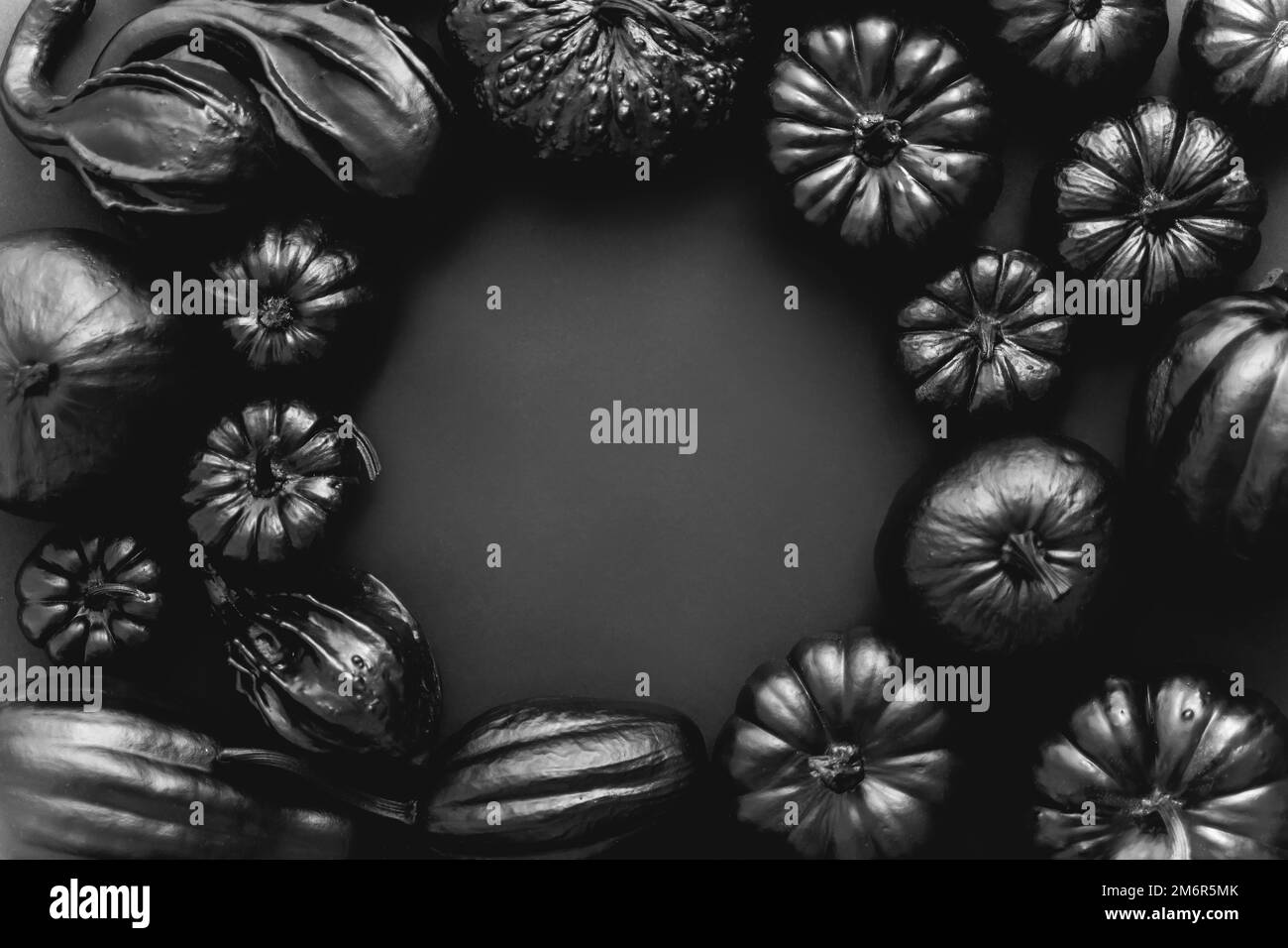 Various kinds cute mini pumpkins in black colour placed in circle with ...