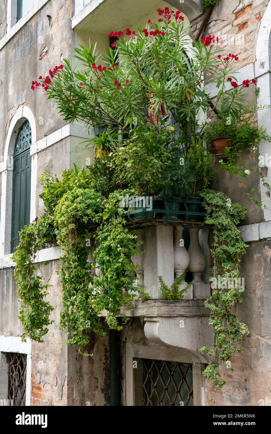 Venice balcony view hi-res stock photography and images - Alamy