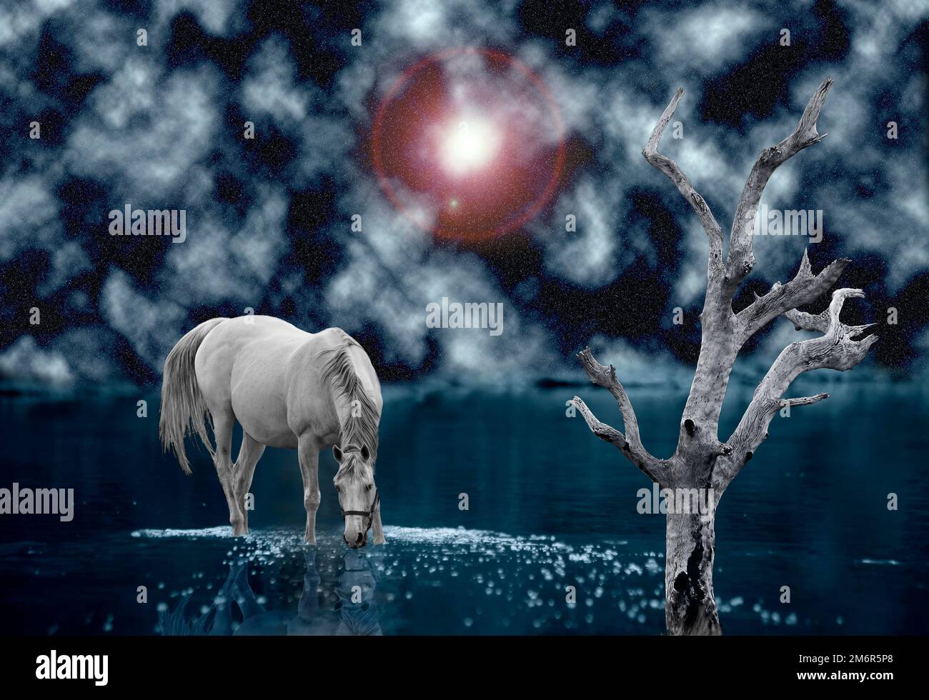 Alien horse hi-res stock photography and images - Alamy