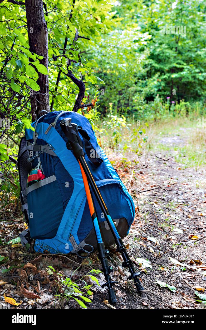 Trekking pole poles hi-res stock photography and images - Alamy