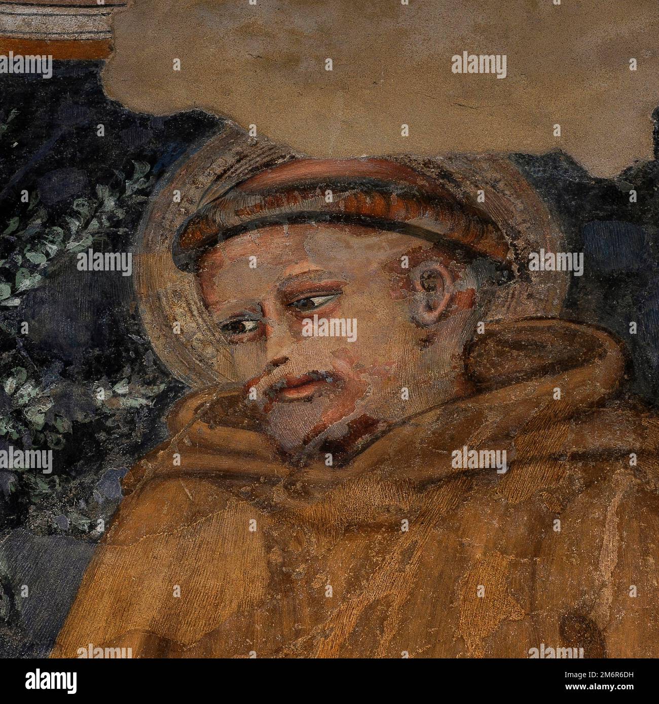 Saint Francis of Assisi, tonsured and wearing the brown woollen habit ...