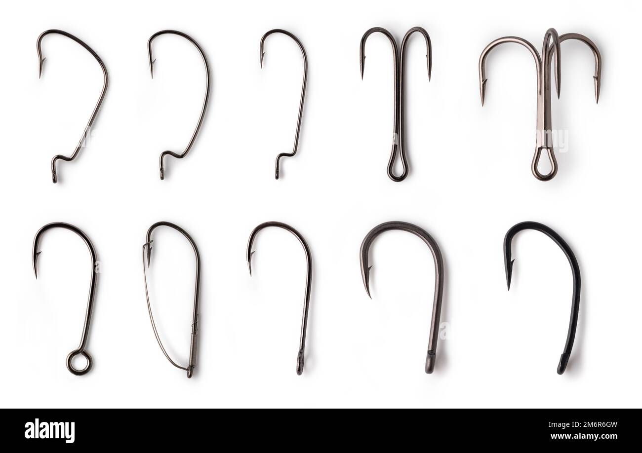 Fish angel view Cut Out Stock Images & Pictures - Alamy