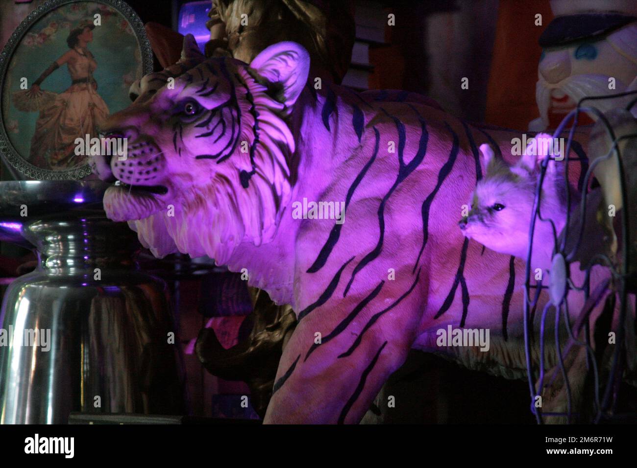 Cults - Madeline Follin and Brian Oblivion film a session in Brooklyn ...