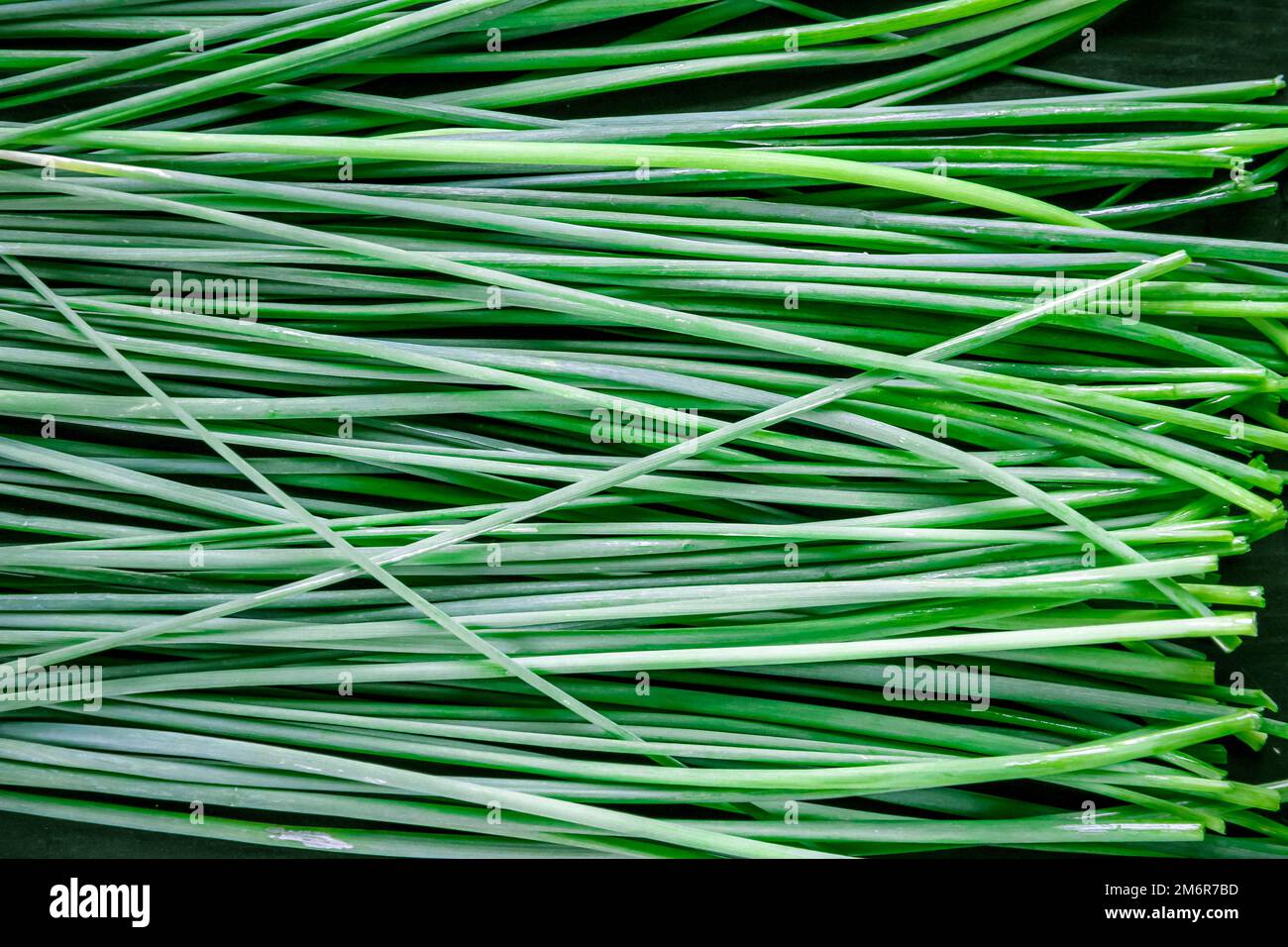 Bunch of chives closeup view Stock Photo - Alamy