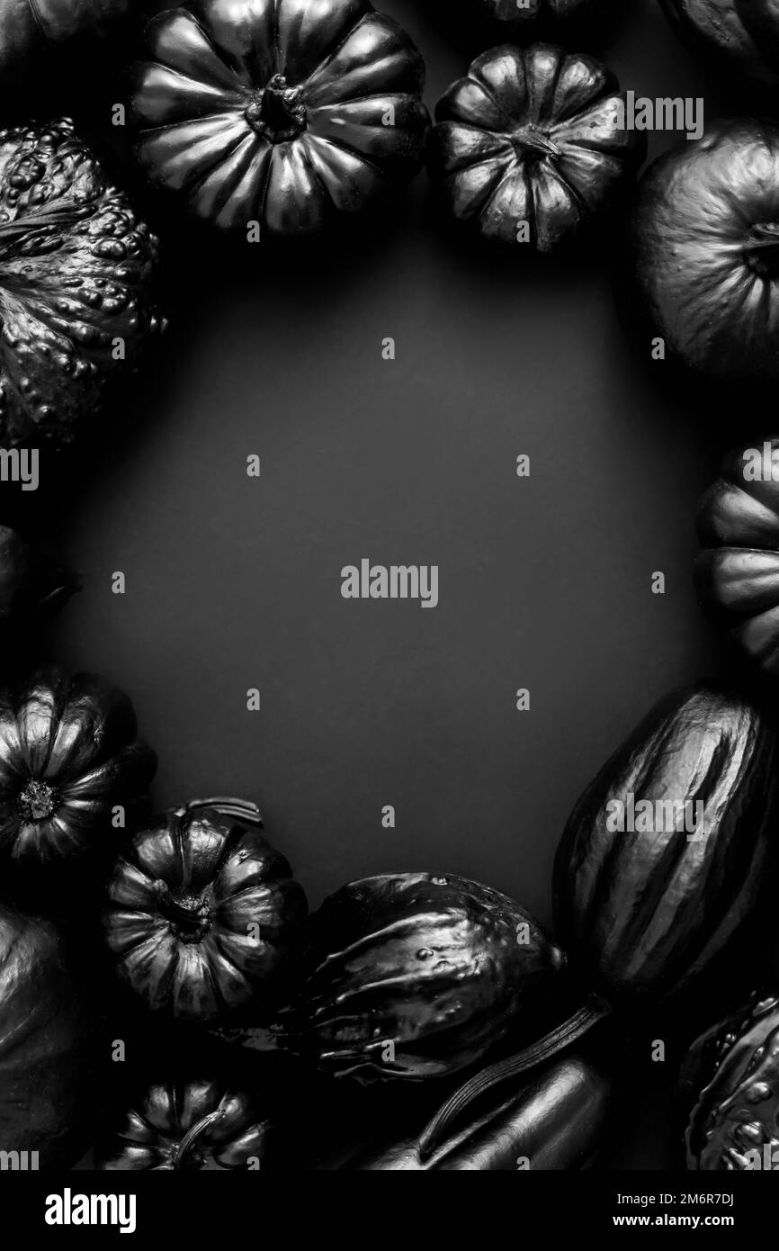 Various kinds cute mini pumpkins in black colour placed in circle with ...