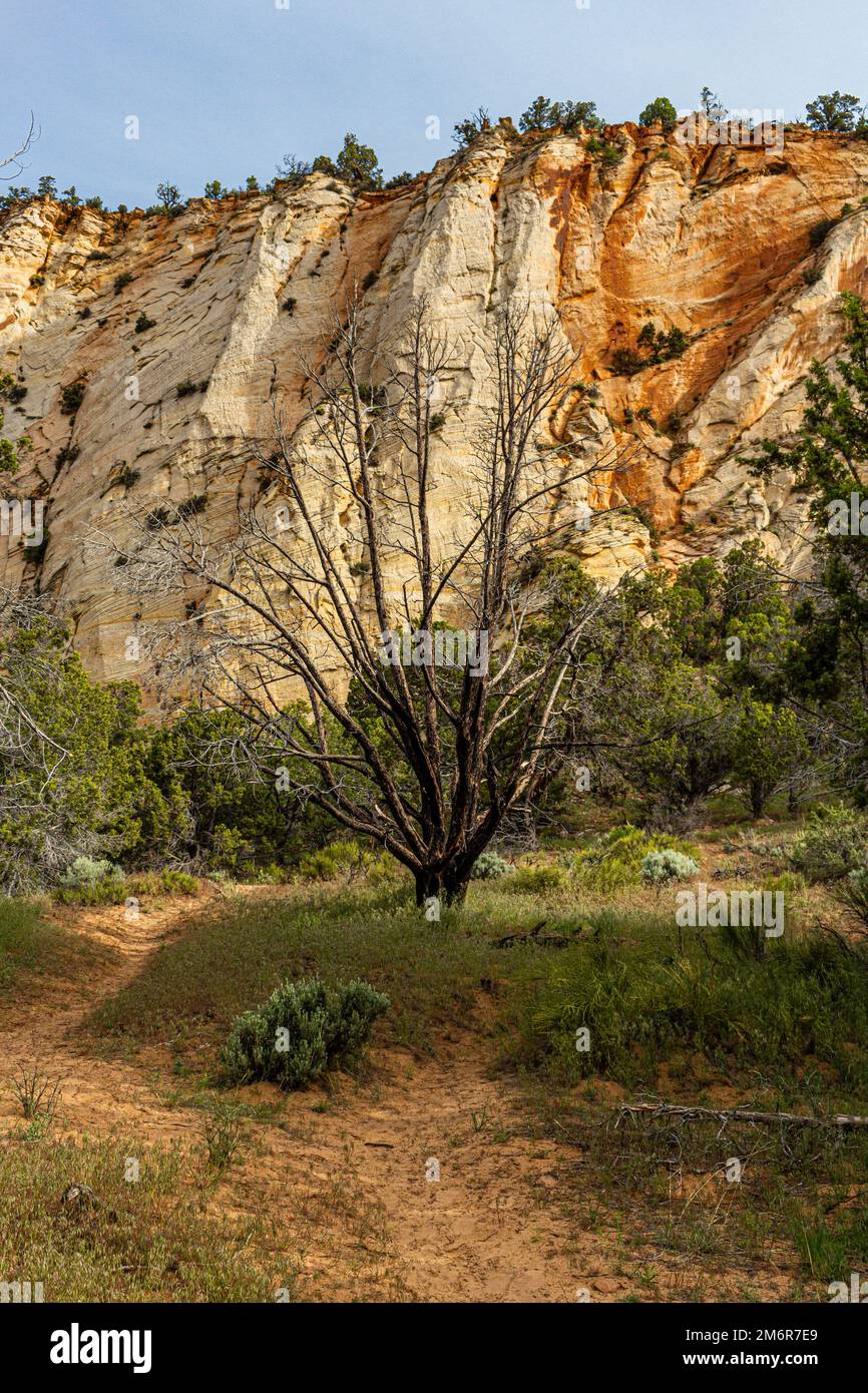 The Hoodoos rock formations at Bryce Canyon National Park in ...