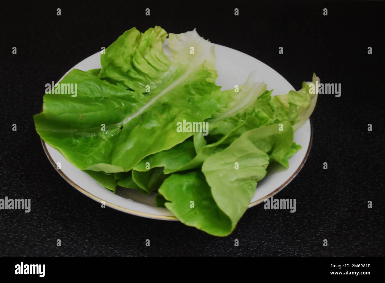 Fresh green lettuce on the plate, ready for consuming as vegetable ...