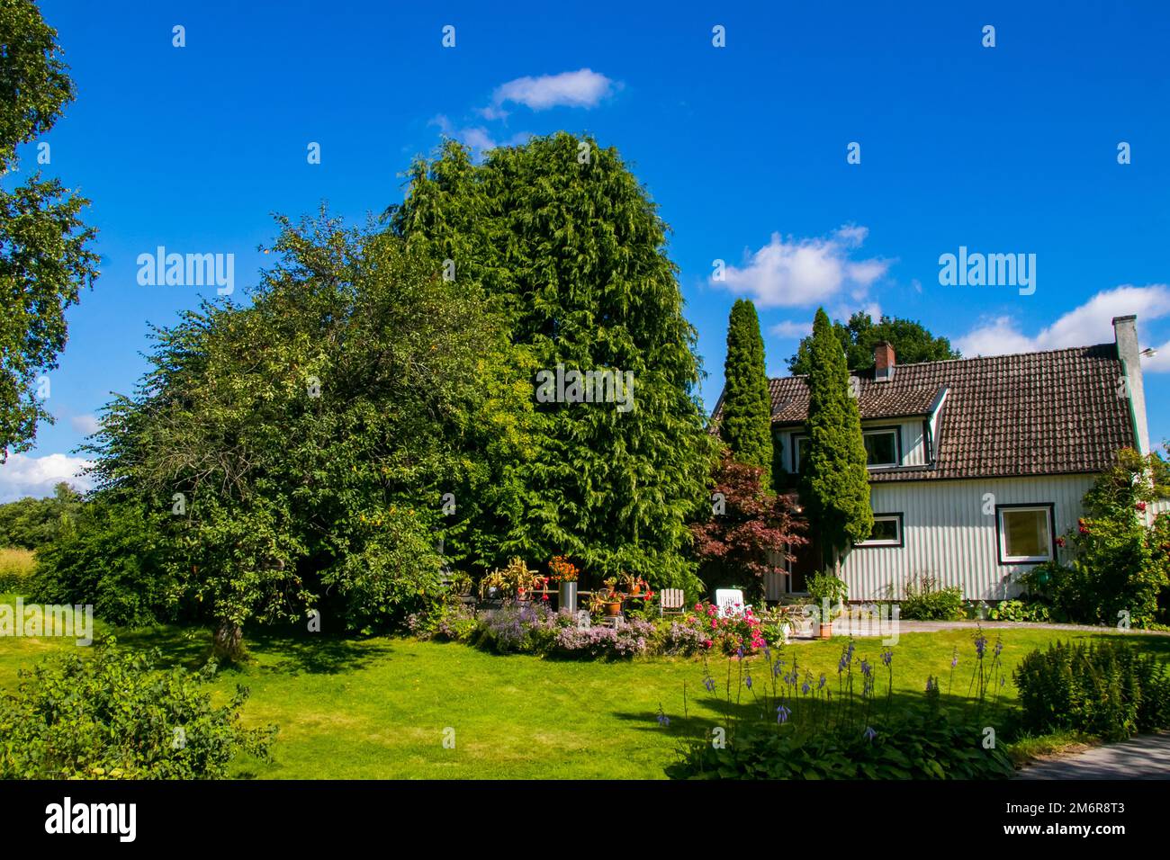 Beautiful Green Garden with Pond River in Front of a Dream House in ...