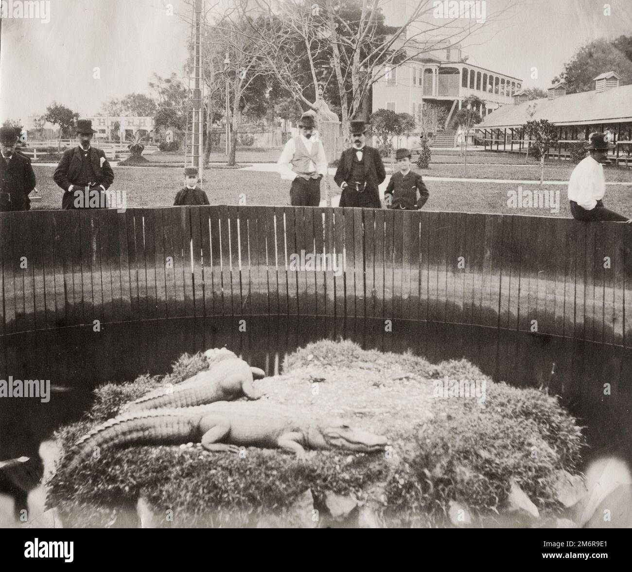 Vintage zoo hi-res stock photography and images - Alamy
