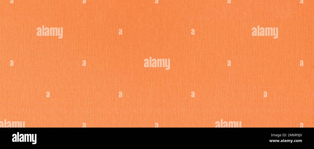 monochromatic orange wall background. orange monochromatic backdrop ...